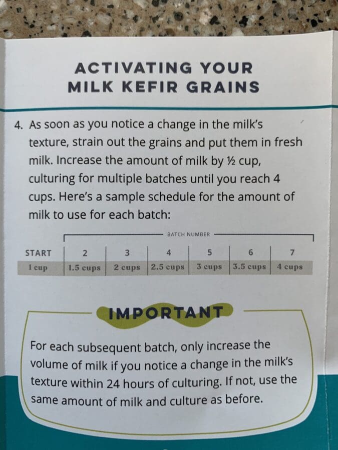 How to Make Milk Kefir – Jersey Milk Cow