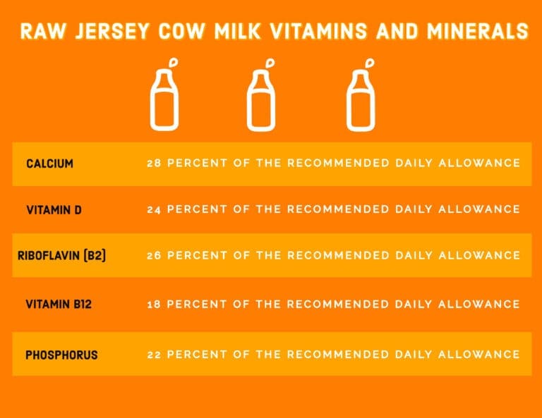 My Journey with Raw Jersey Cow Milk | Jersey Milk Cow