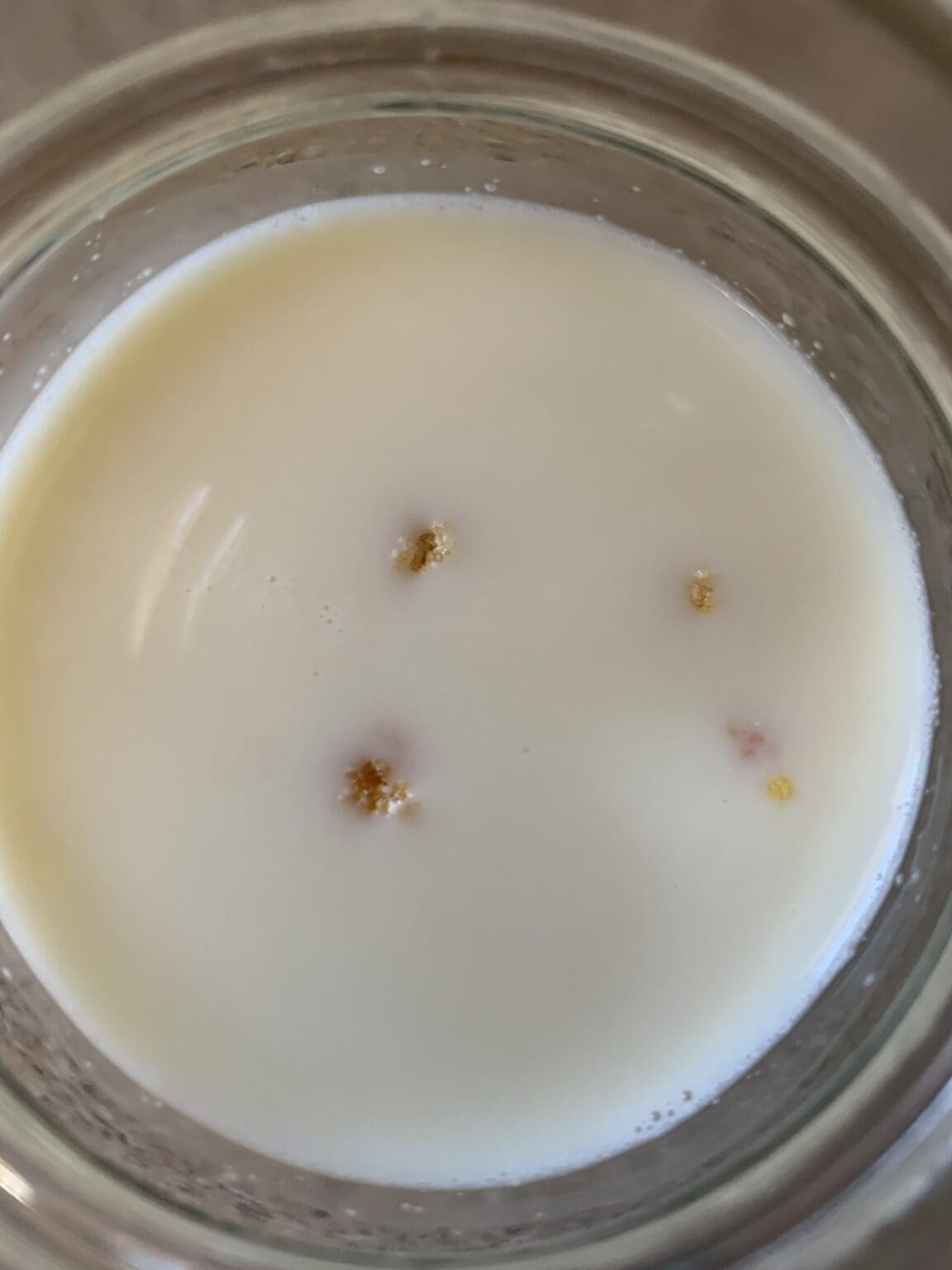 How to Make Milk Kefir – Jersey Milk Cow